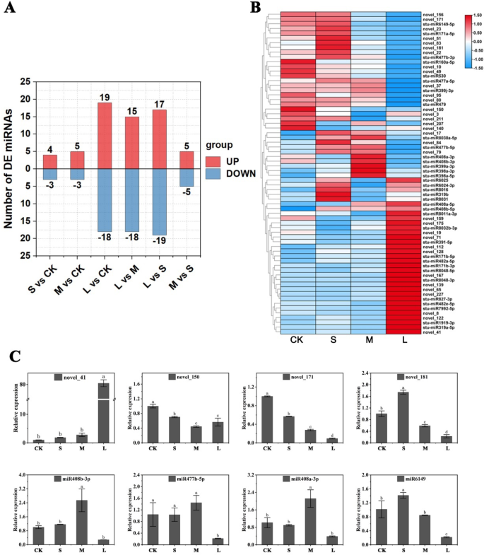 Elucidating the molecular basis of salt tolerance in potatoes through ...