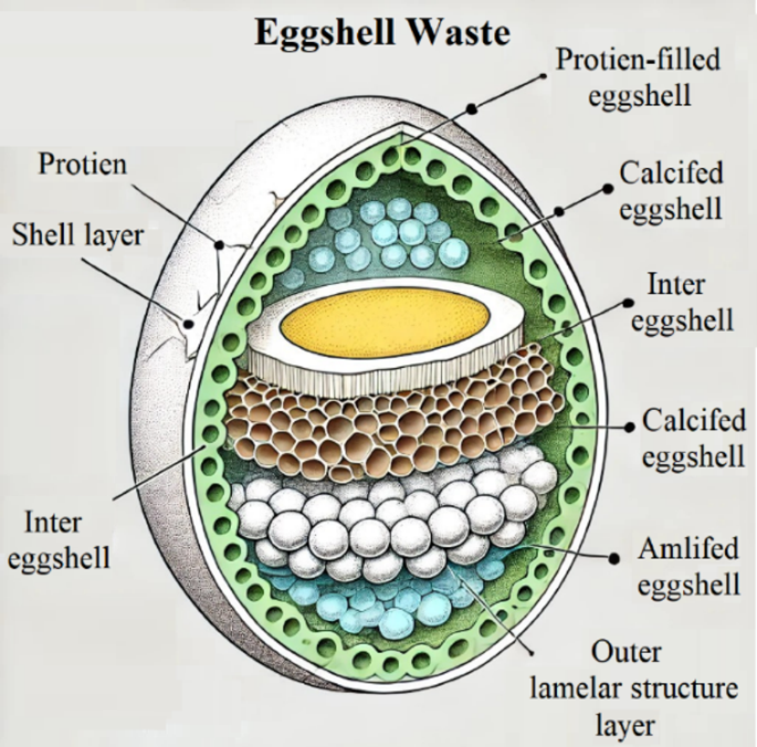 Green building development utilising modified fired clay bricks and ...