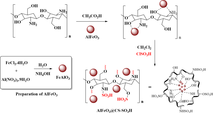 Acid-decorated chitosan-magnetic aluminum ferrite as a bionanocomposite ...