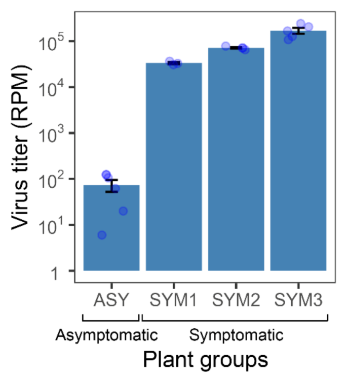 Resistance-breaking strains of tomato spotted wilt virus hamper ...