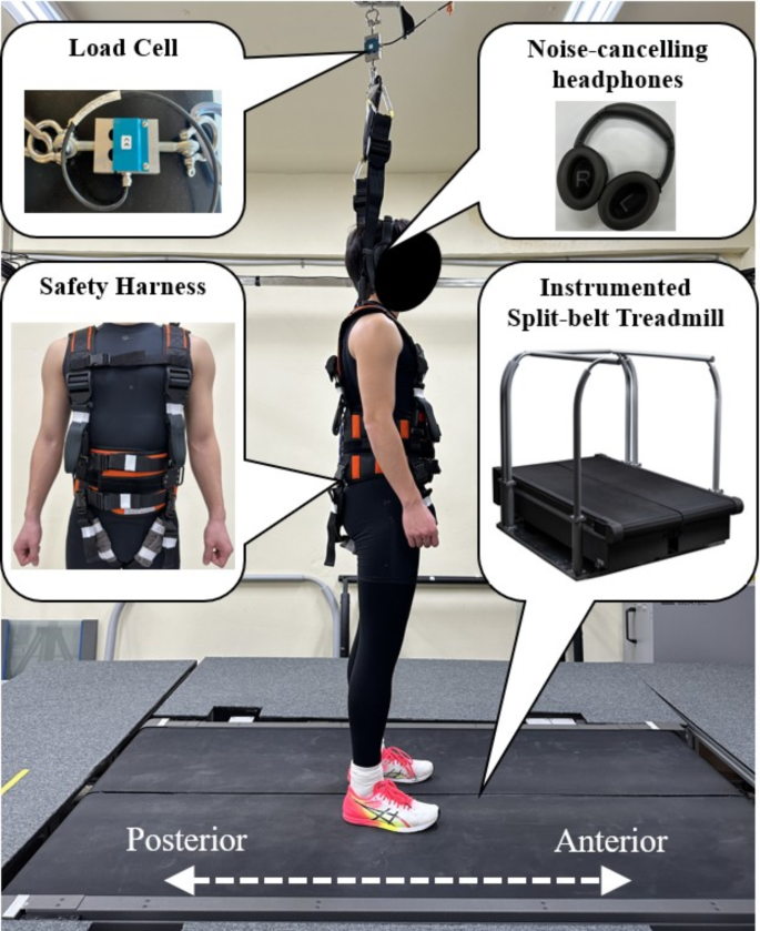 The effects of perturbation intensities on backward slip-falls induced ...
