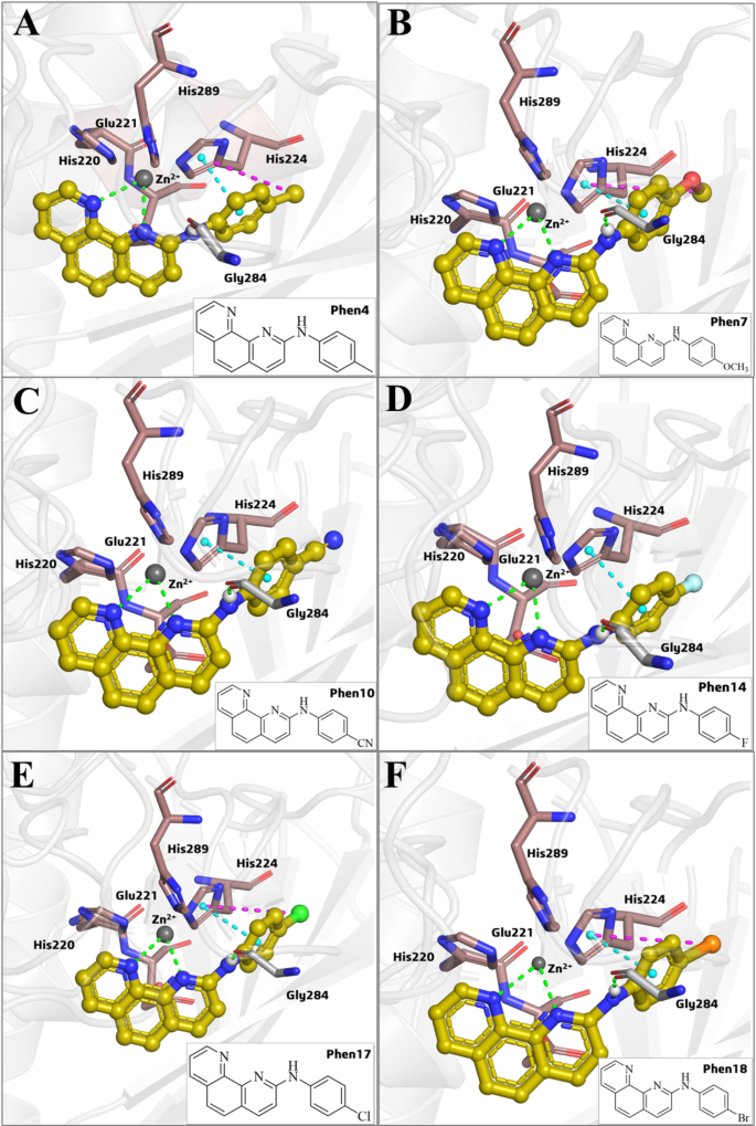 In silico evaluation of N-aryl-1,10-phenanthroline-2-amines as ...