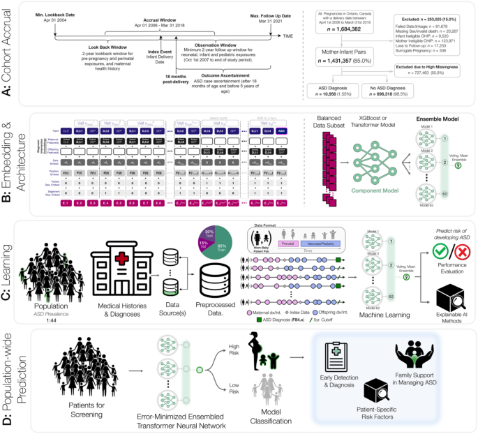Transformer-based deep learning ensemble framework predicts autism ...