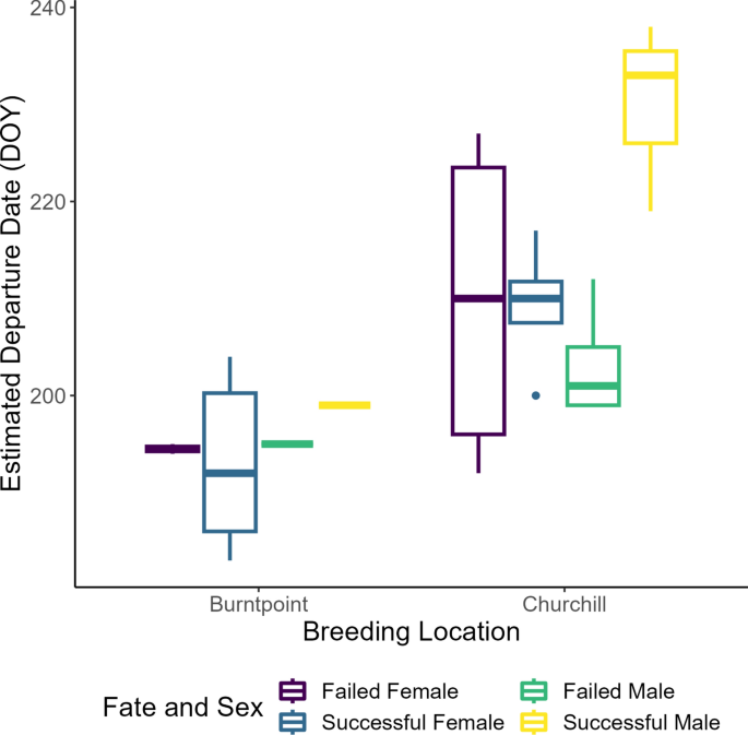 Sex-specific variation in breeding-ground departure decisions and ...