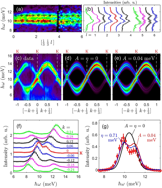Massive Dirac magnons in the three-dimensional honeycomb magnetic oxide ...
