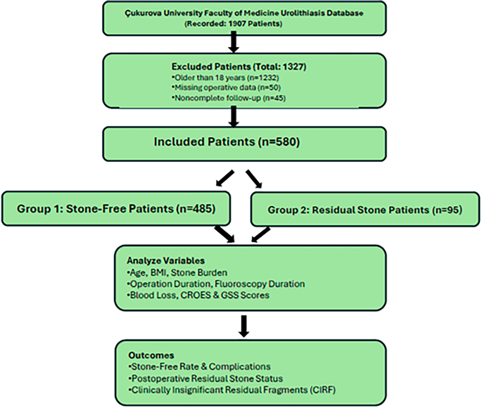 Predictive value of scoring systems for stone free status and ...