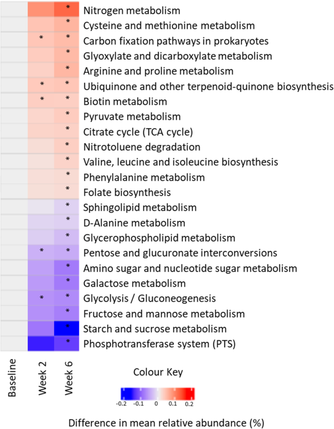 A randomised, double-blind clinical study into the effect of zinc ...