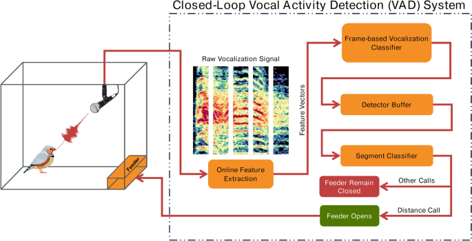 Context-dependent modulations in zebra finch distance calls revealed by ...