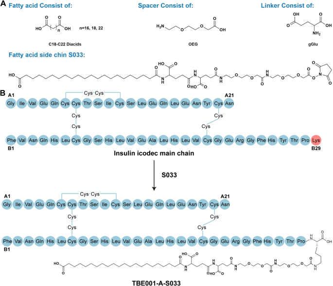 Design of a novel long-acting insulin analogs by acetylation ...