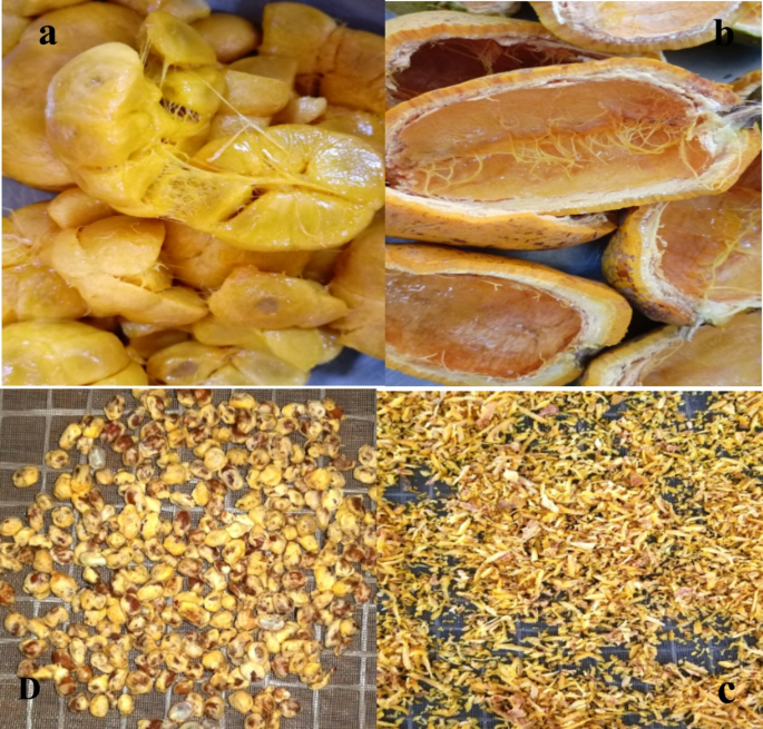 Nutritional potential of Saba senegalensis fruits seeds and hulls from ...