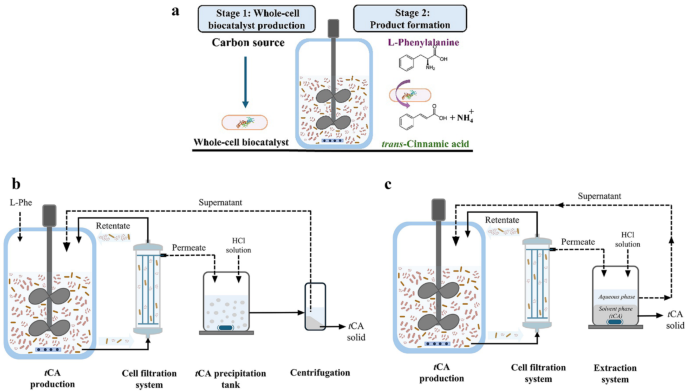 High-efficiency water use and process performance for bioproduction of ...