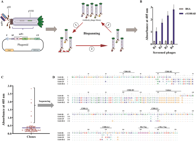 Development of novel neutralizing single-chain fragment variable ...