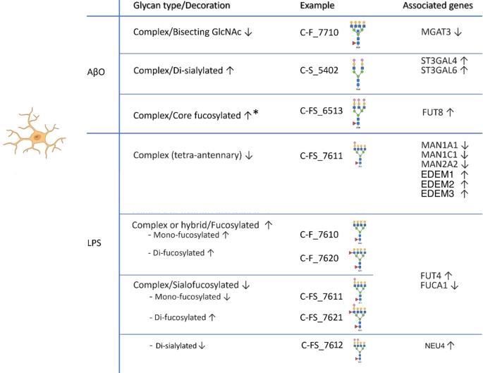 Unique N-glycosylation signatures in human iPSC derived microglia activated by Aβ oligomer and ...