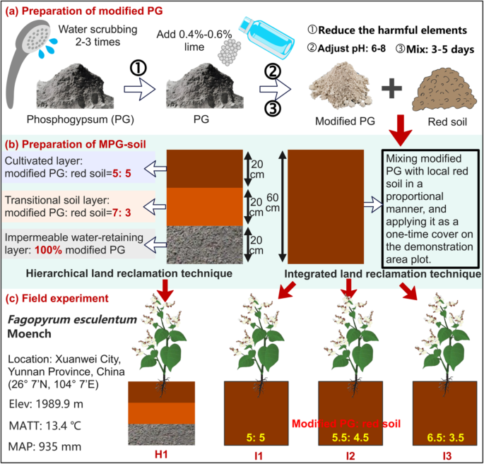 Phosphogypsum improves soil and benefits crop growth: An effective ...