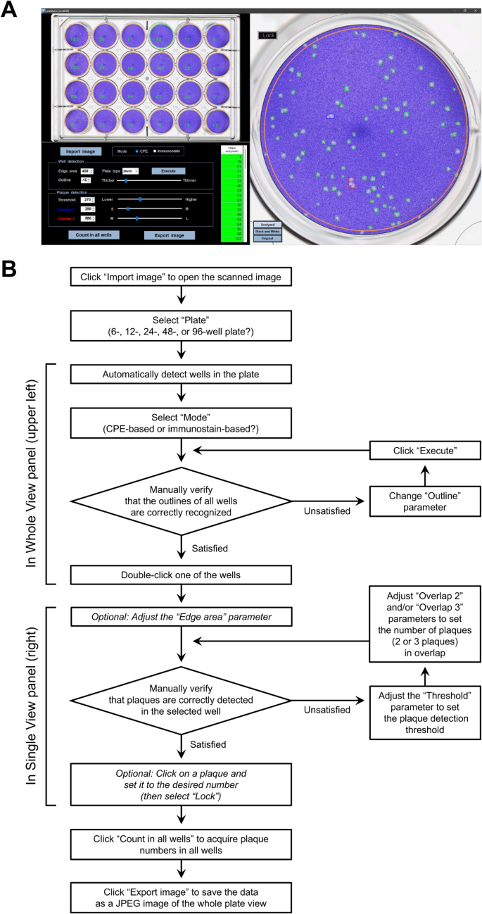 Development of an automated plaque-counting program for the ...