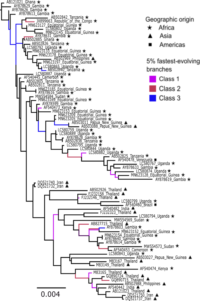 Distinct evolutionary regimes across domains of the Plasmodium ...