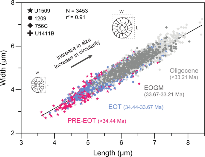 Beyond the ice: shifts in productivity and carbonate oversaturation at ...
