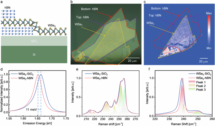 Transient dynamics and long-range transport of 2D exciton with managed ...
