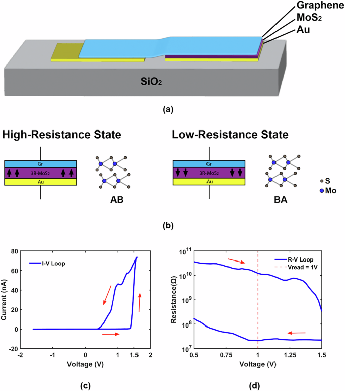 Multi-functional polymorphic memory based on 2D ferroelectric tunnel ...