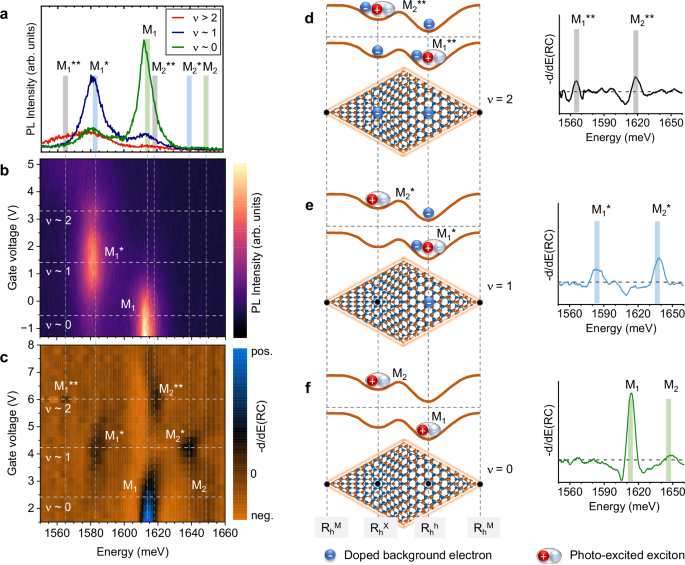 Programmable phonon-assisted resonant energy transfer between moiré ...