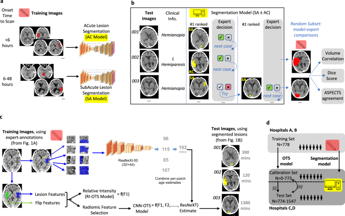 Deep learning biomarker of chronometric and biological ischemic stroke lesion age from ...