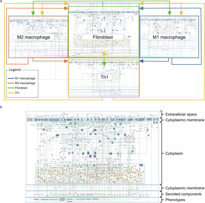 Building a modular and multi-cellular virtual twin of the synovial ...