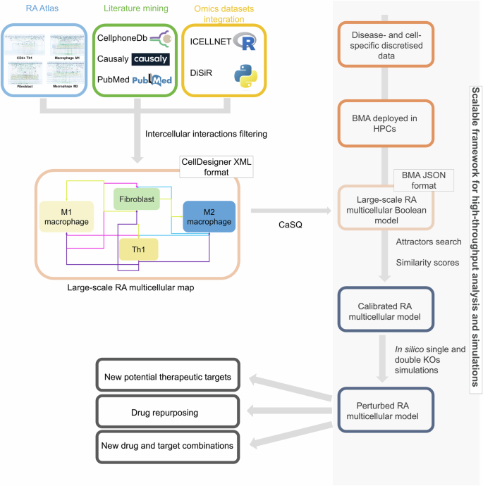 Building a modular and multi-cellular virtual twin of the synovial ...
