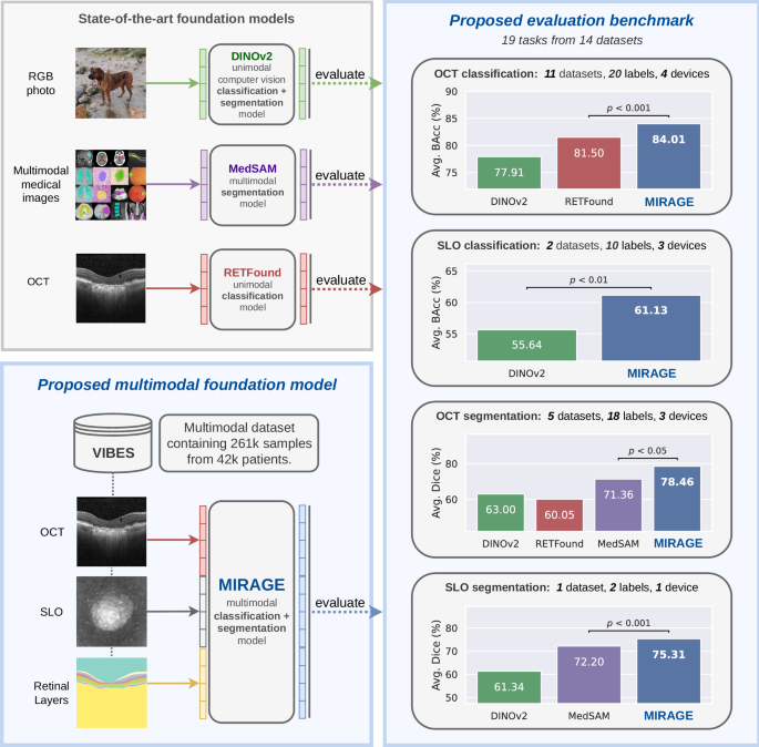 Multimodal foundation model and benchmark for comprehensive retinal OCT image analysis | npj ...