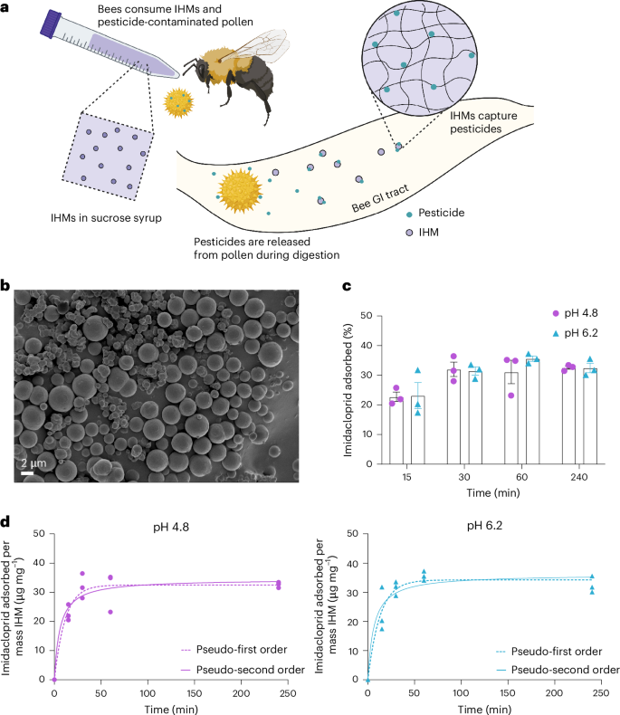 Ingestible hydrogel microparticles improve bee health after pesticide ...