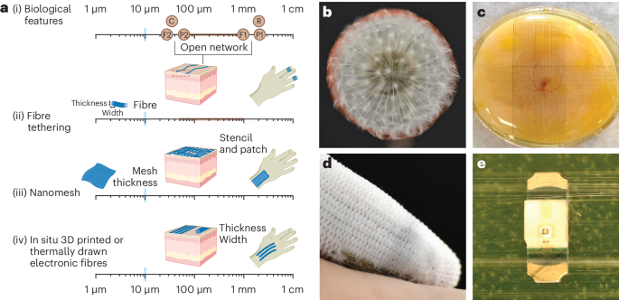 Building bioelectronic fibres with a light touch | Nature Electronics