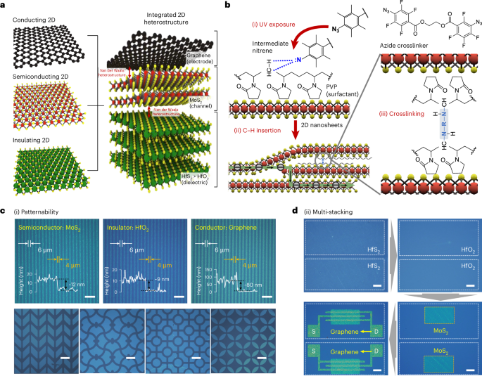 Orthogonal photopatterning of two-dimensional percolated network films for wafer-scale ...