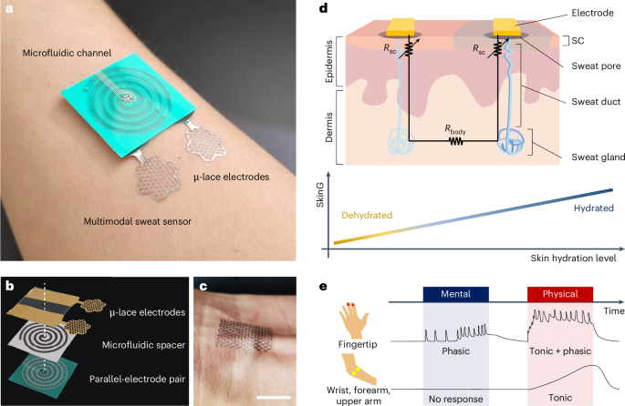 Electrodermal activity as a proxy for sweat rate monitoring during ...