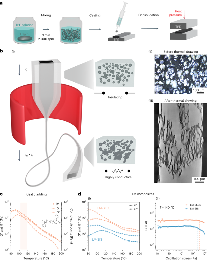 Electronic fibres via the thermal drawing of liquid-metal-embedded ...