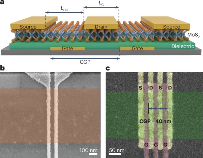 Towards 1-nm-node electronics with two-dimensional transistors | Nature ...