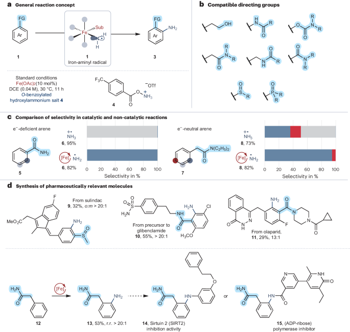 A radical strategy towards ortho-amination reactions | Nature Catalysis