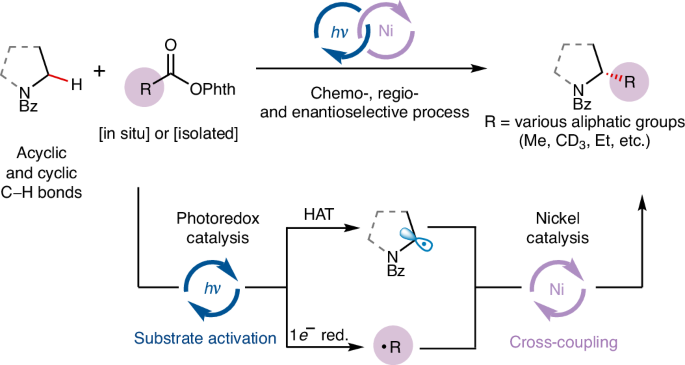 Enantioselective alkylation of α-amino C(sp3)−H bonds via photoredox and nickel catalysis ...