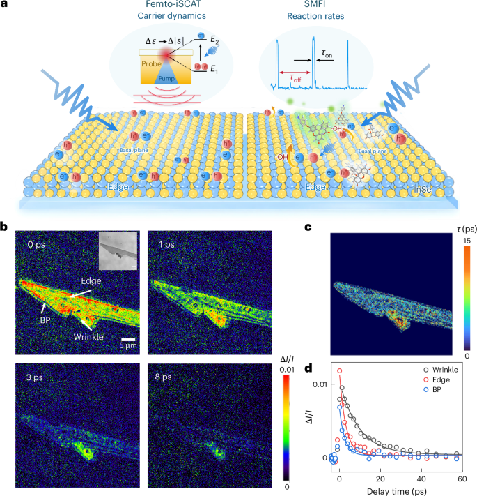 Nanoscale correlation of single-molecule reactivity and charge carrier ...