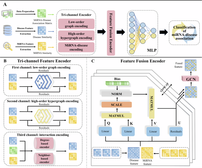 TriFusion enables accurate prediction of miRNA-disease association by a ...