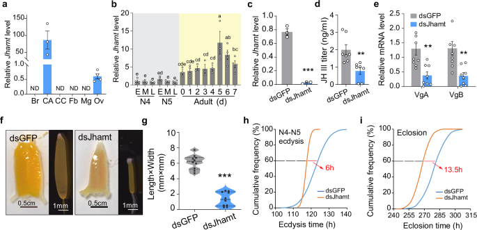 miR-276 and miR-182013-5p modulate insect metamorphosis and ...