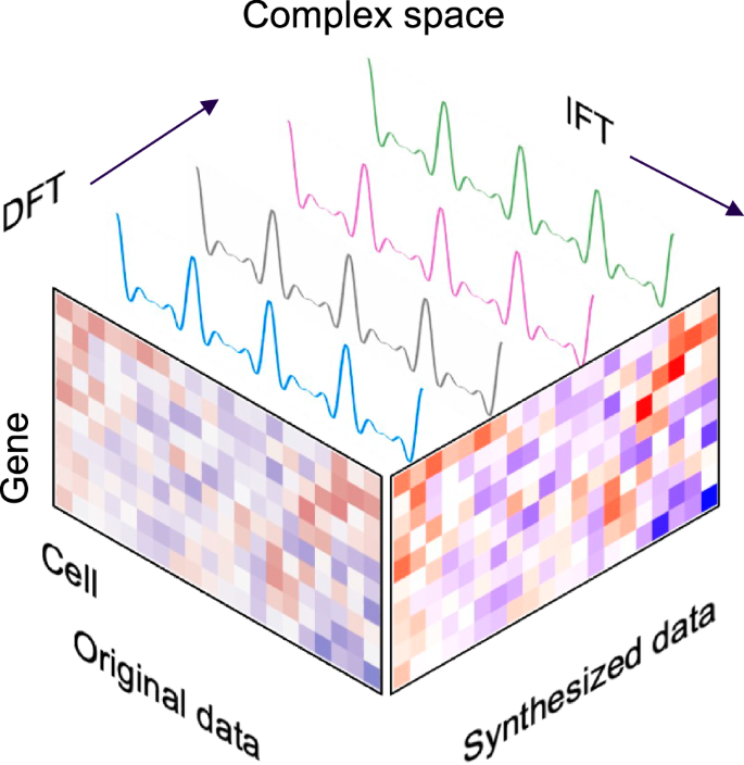 Single-cell RNA-seq data augmentation using generative Fourier ...