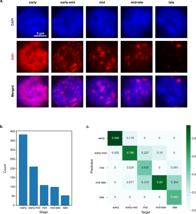 Supervised and unsupervised deep learning-based approaches for studying ...