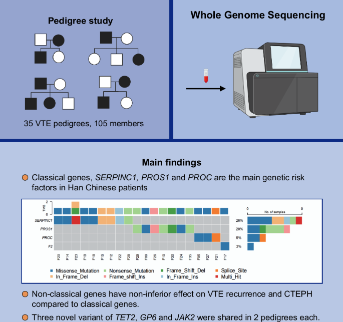 Whole genome sequencing identifies pathogenic genetic variants in Han Chinese patients with ...