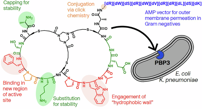 Discovery and chemical optimisation of a potent, Bi-cyclic ...