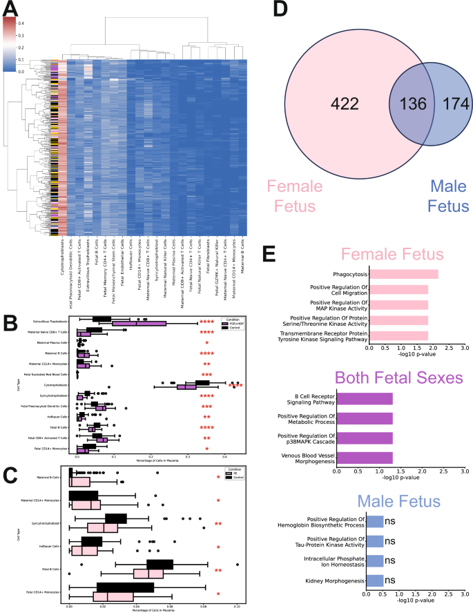Placental network differences among obstetric syndromes identified with ...