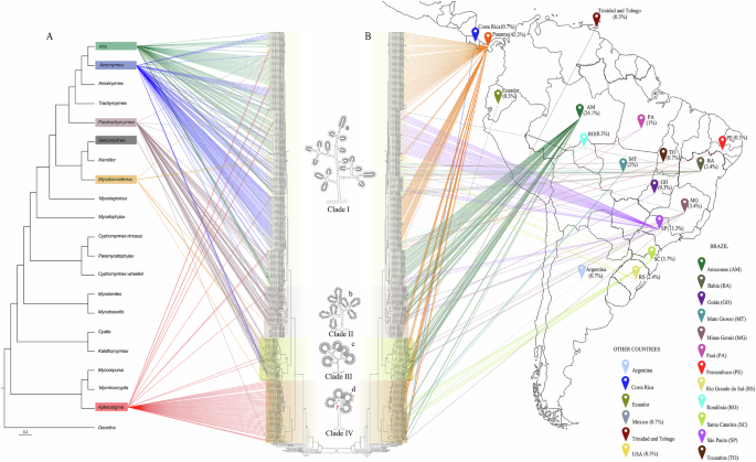 Digging into the evolutionary history of the fungus-growing-ant ...