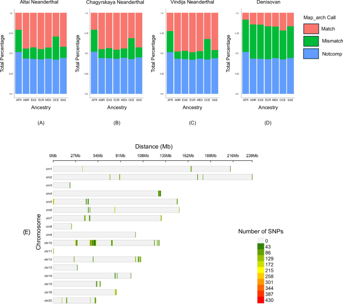 Archaic adaptive introgression in modern human reproductive genes | Communications Biology