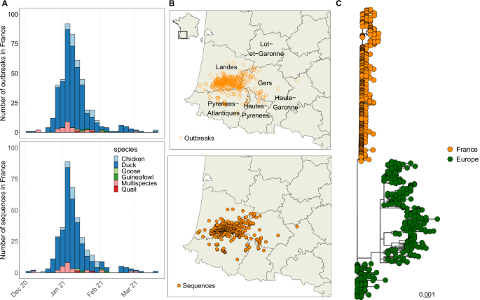 Poultry farm density and proximity drive highly pathogenic avian ...