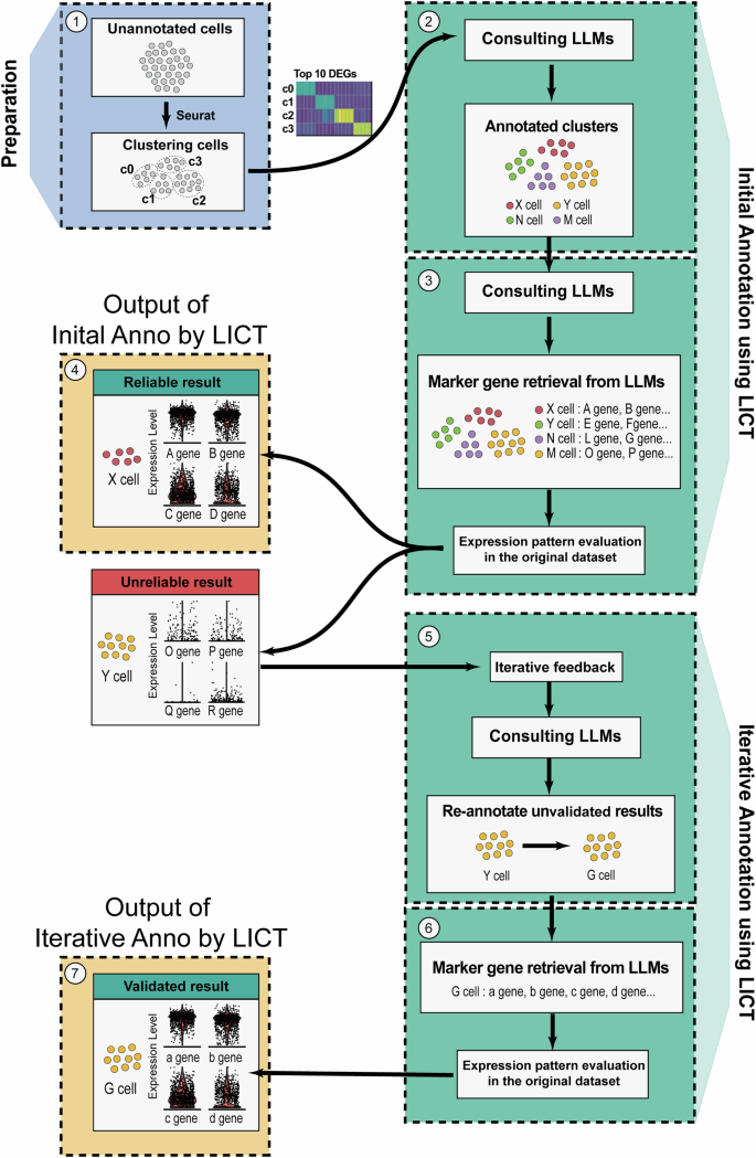 Evaluation of cell type annotation reliability using a large language ...