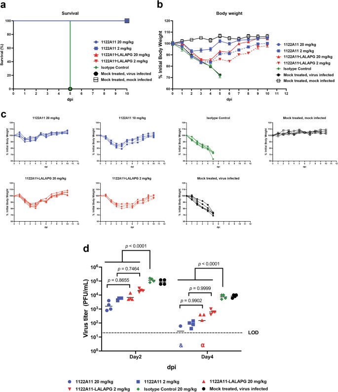Structure and function of a cross-neutralizing influenza neuraminidase ...