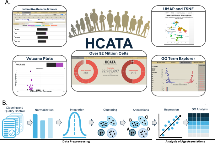 Human Cell Aging Transcriptome Atlas (HCATA): a single-cell atlas of ...